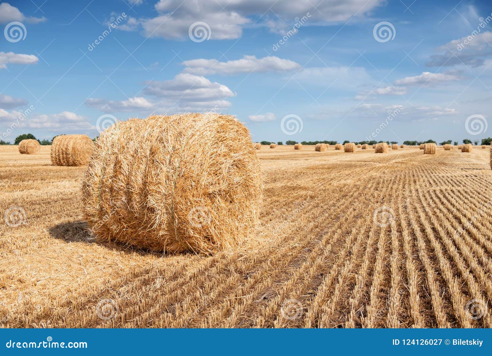 A Stack of Hay on the Summer Field. Stock Image - Image of haystack ...