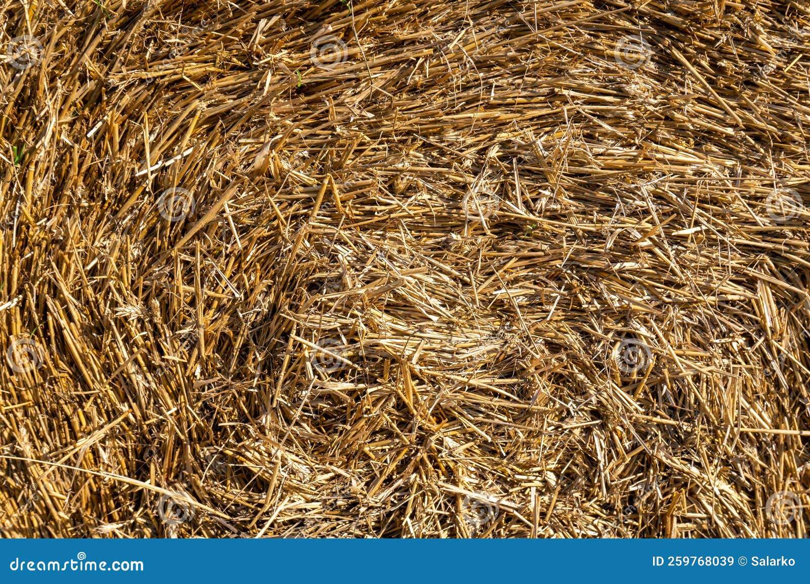 Stack of Hay texture stock image. Image of summer, texture - 259768039