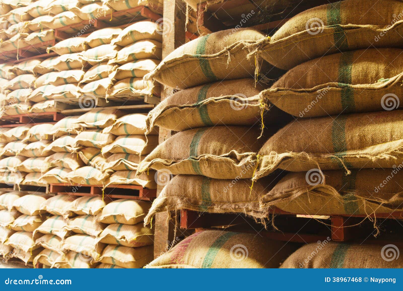 Sacks Of Rice Are Placed In Straight Rows On Wooden Pallets Royalty ...