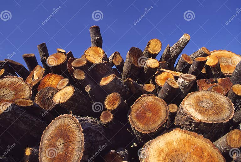 Stack hewed wood stock photo. Image of brown, hewed, stack - 2231794