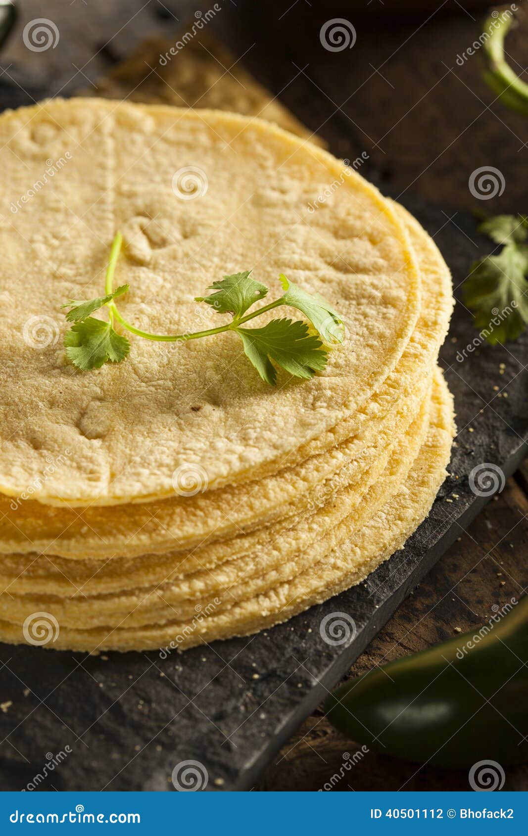 Stack of Homemade Corn Tortillas Stock Photo - Image of bread, wrap ...