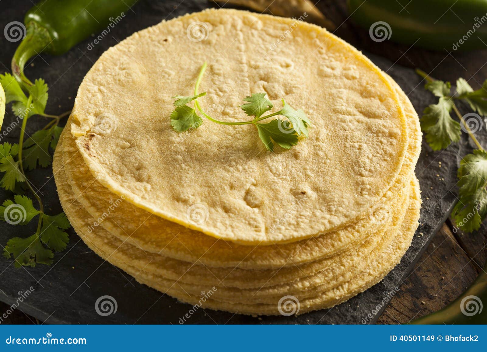Stack of Homemade Corn Tortillas Stock Image - Image of taco, tortillas ...