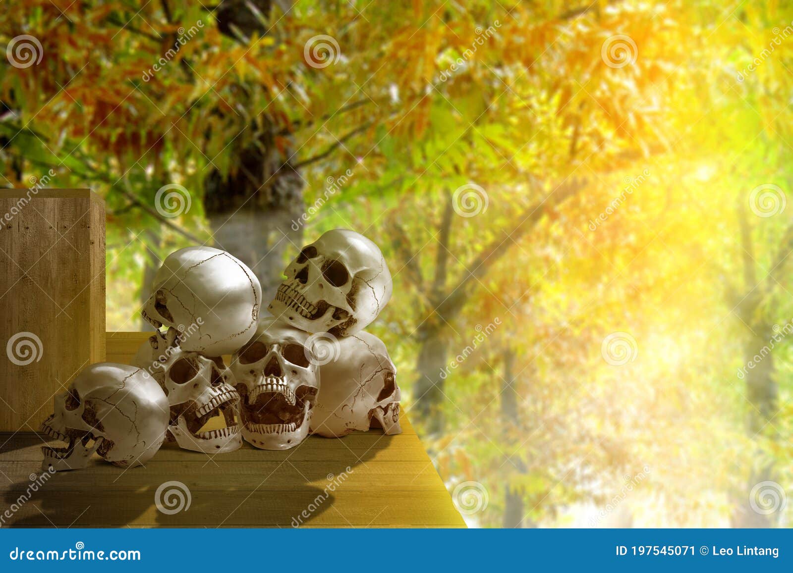 Stack of a Human Skull on the Wooden Table Stock Image - Image of dark ...