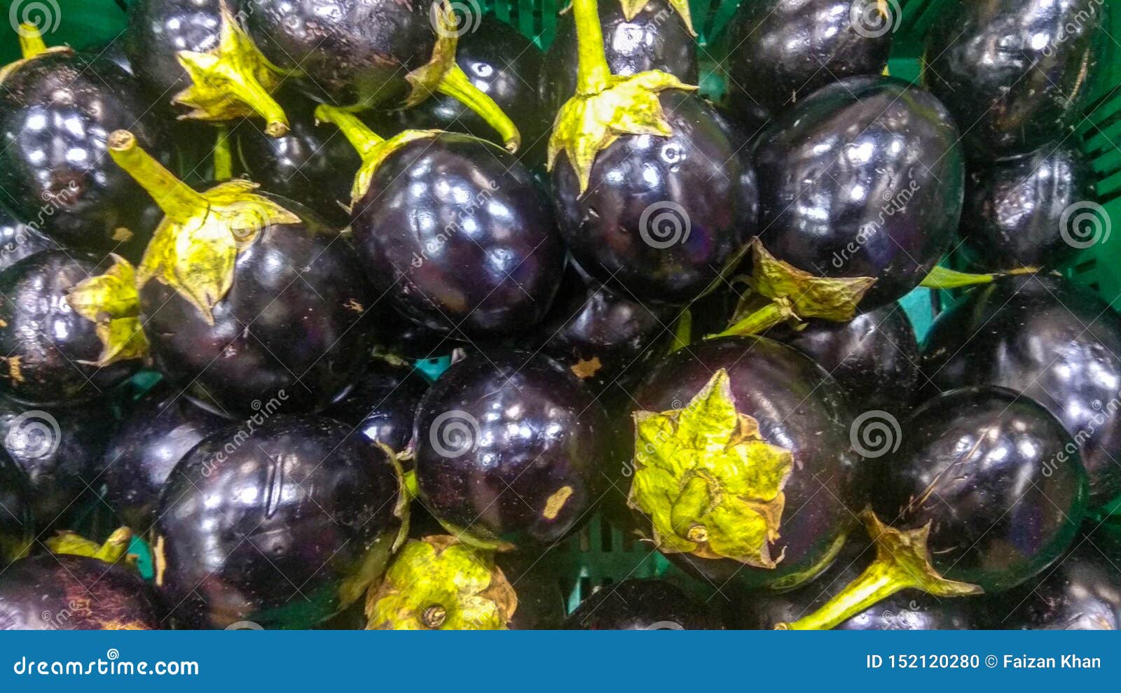 Stack of Indian Eggplant or Bengan or Brinjal Stock Photo - Image of ...