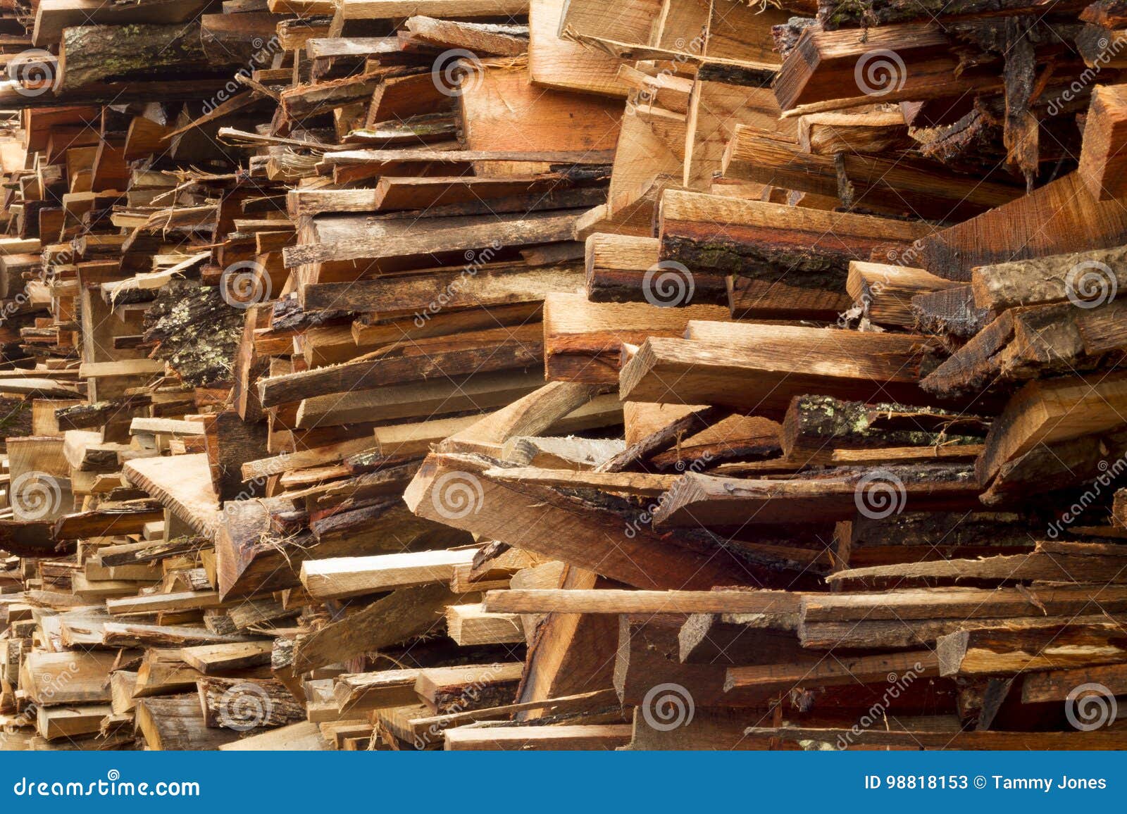Wood Slabs stock image. Image of circles, death, plank - 98818153