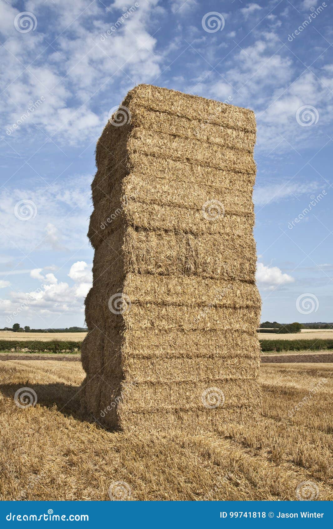 Rectangular Bale Stack stock photo. Image of crop, harvest - 99741818