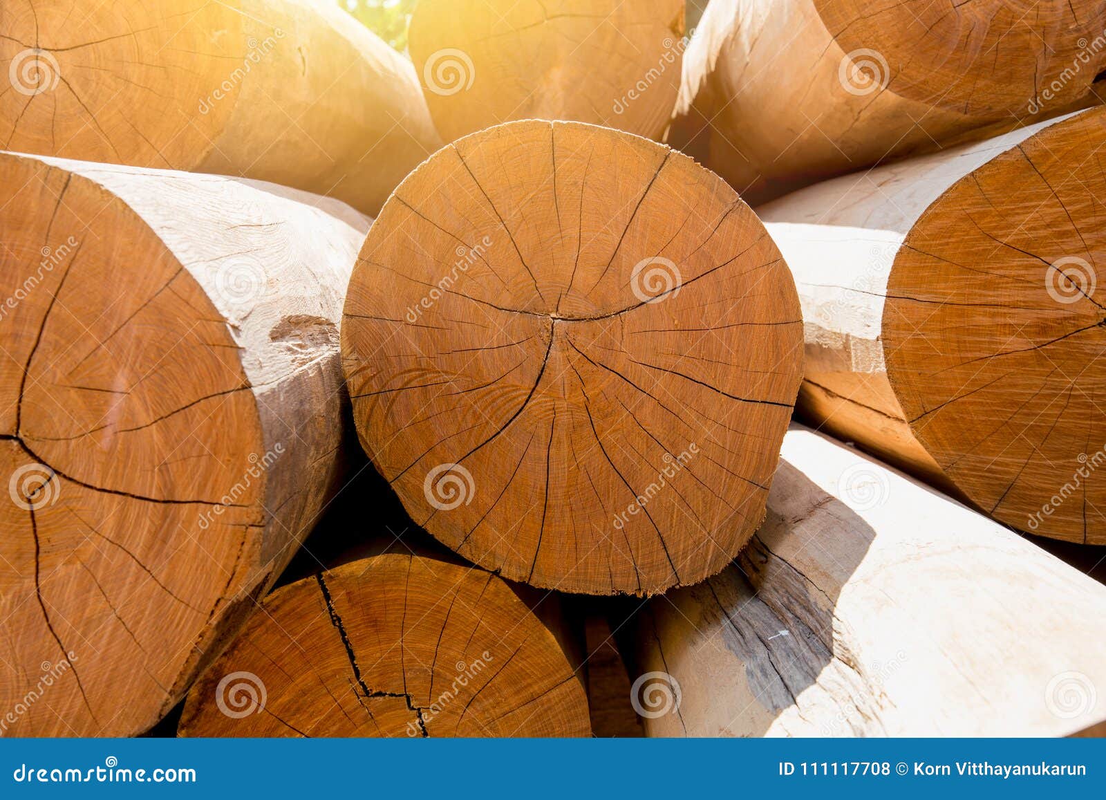Stack of Large wood log stock photo. Image of rough - 111117708