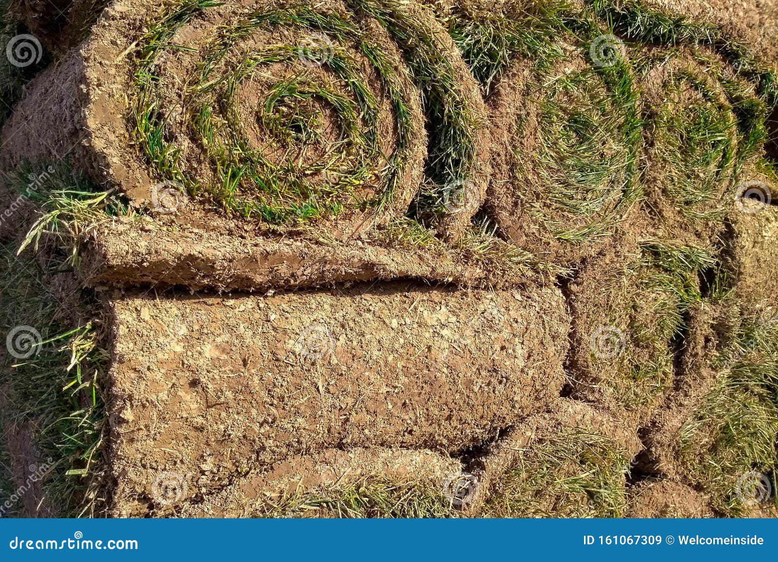 The Rolled Grass Lawn Closeup Is Ready For Laying, A Pile Of Perfect ...