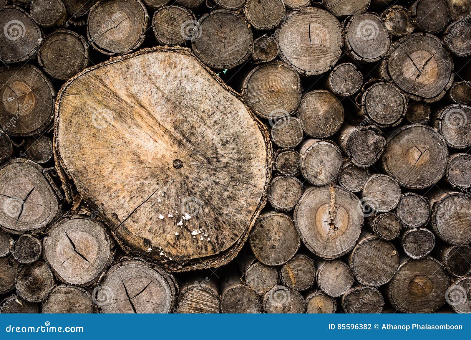 Stack Log Texture, Natural Wood Cut Background Stock Photo - Image of ...