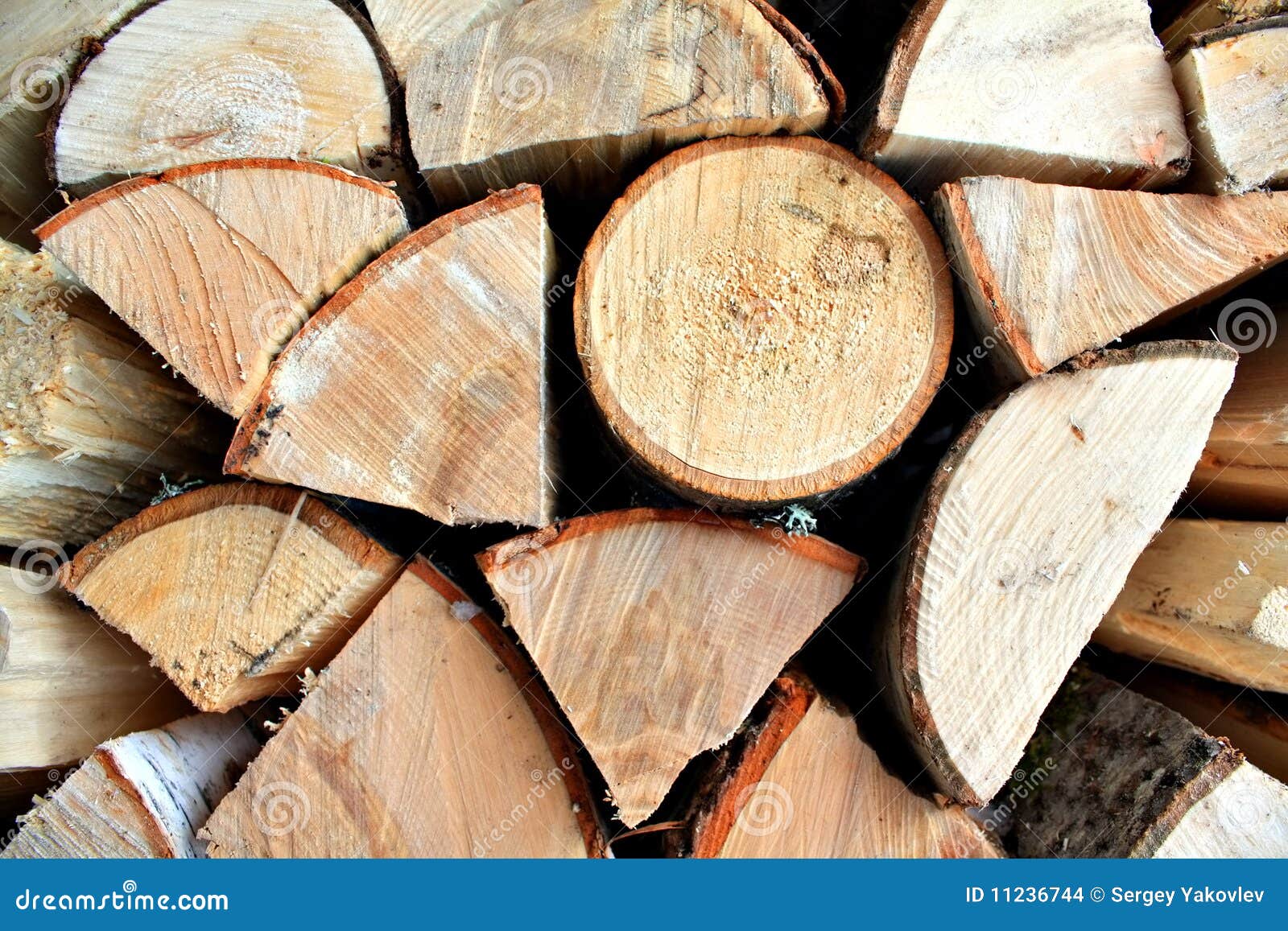 Stack of logs stock photo. Image of energy, pile, forest - 11236744