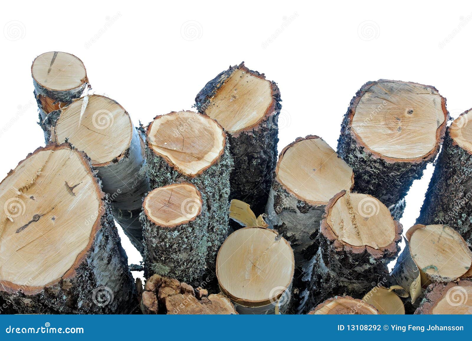 Stack of logs stock photo. Image of softwood, heap, outside - 13108292