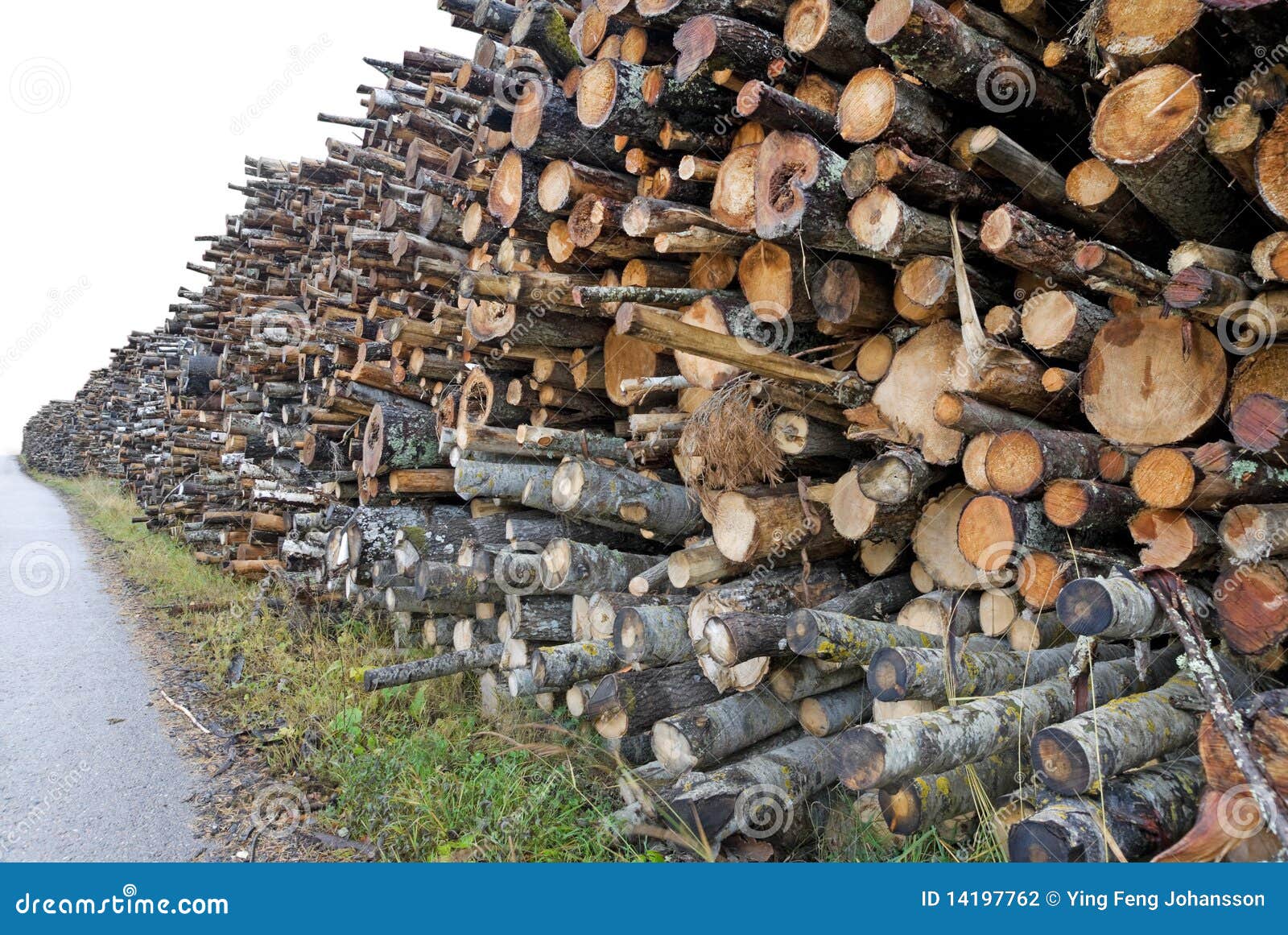 Stack of logs stock photo. Image of environment, road - 14197762