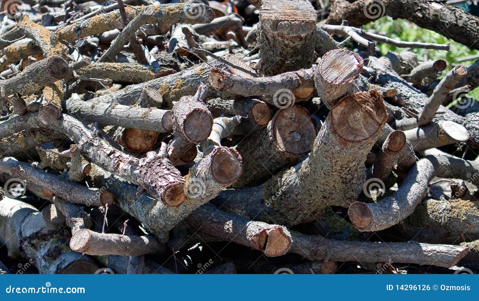 Stack of logs stock photo. Image of piece, food, biology - 14296126