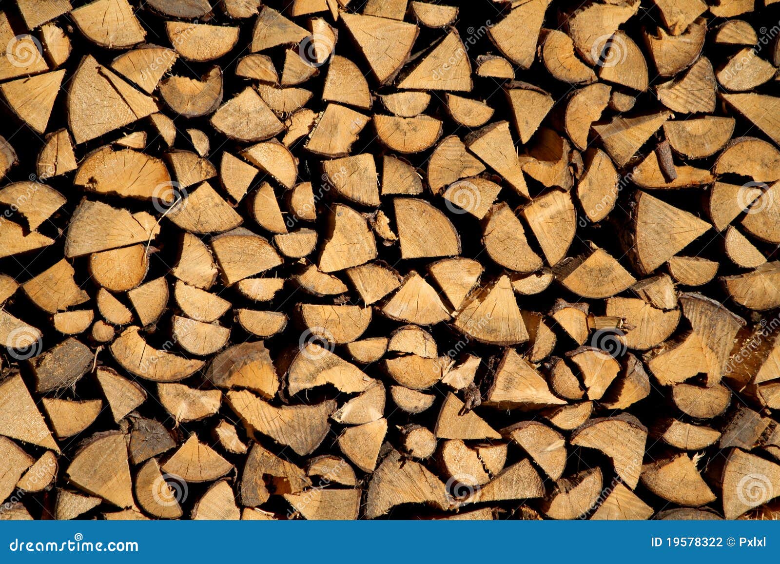 Stack of logs stock photo. Image of heap, destruction - 19578322