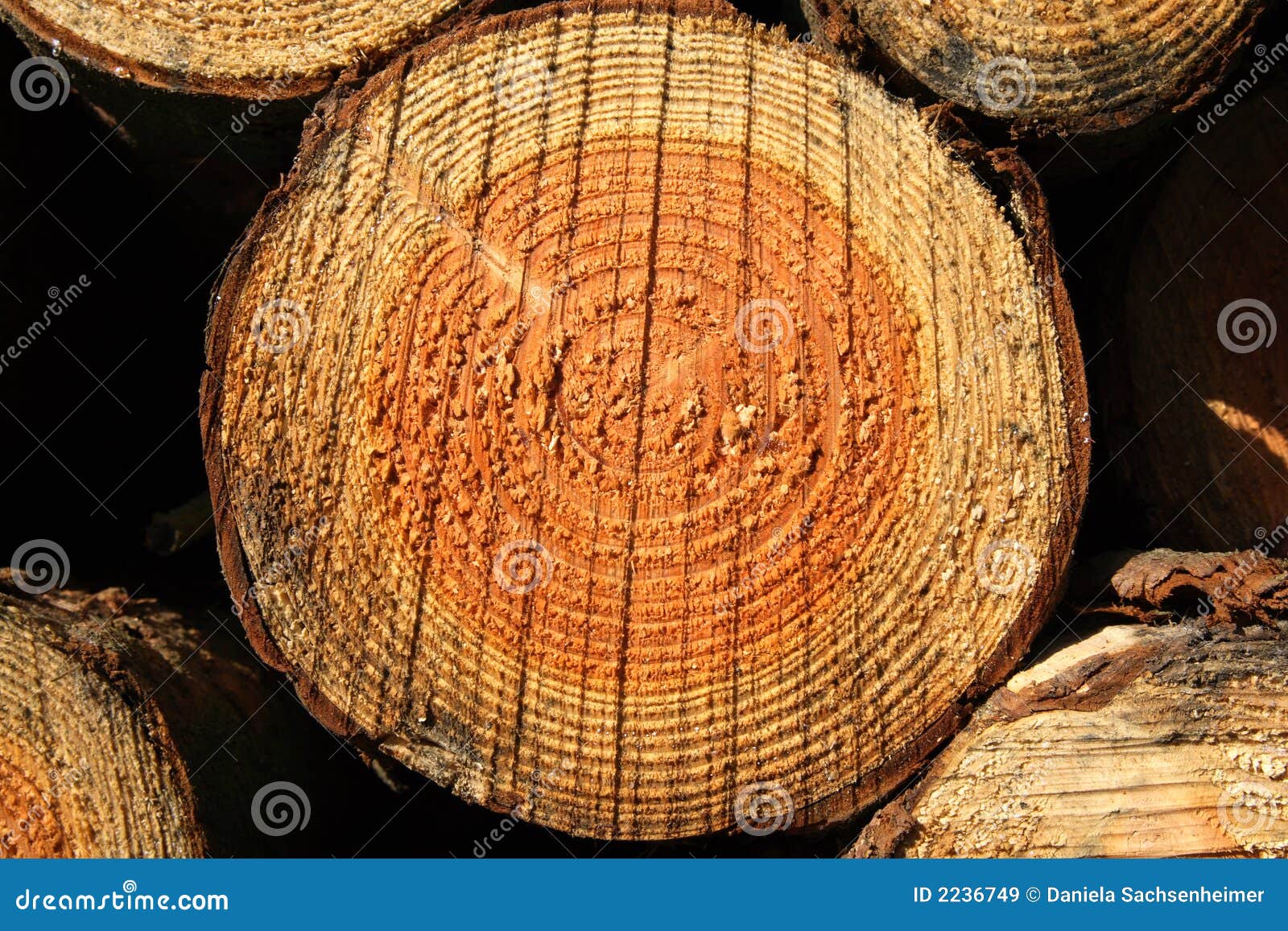Stack of logs stock image. Image of fuel, firewood, bricks - 2236749