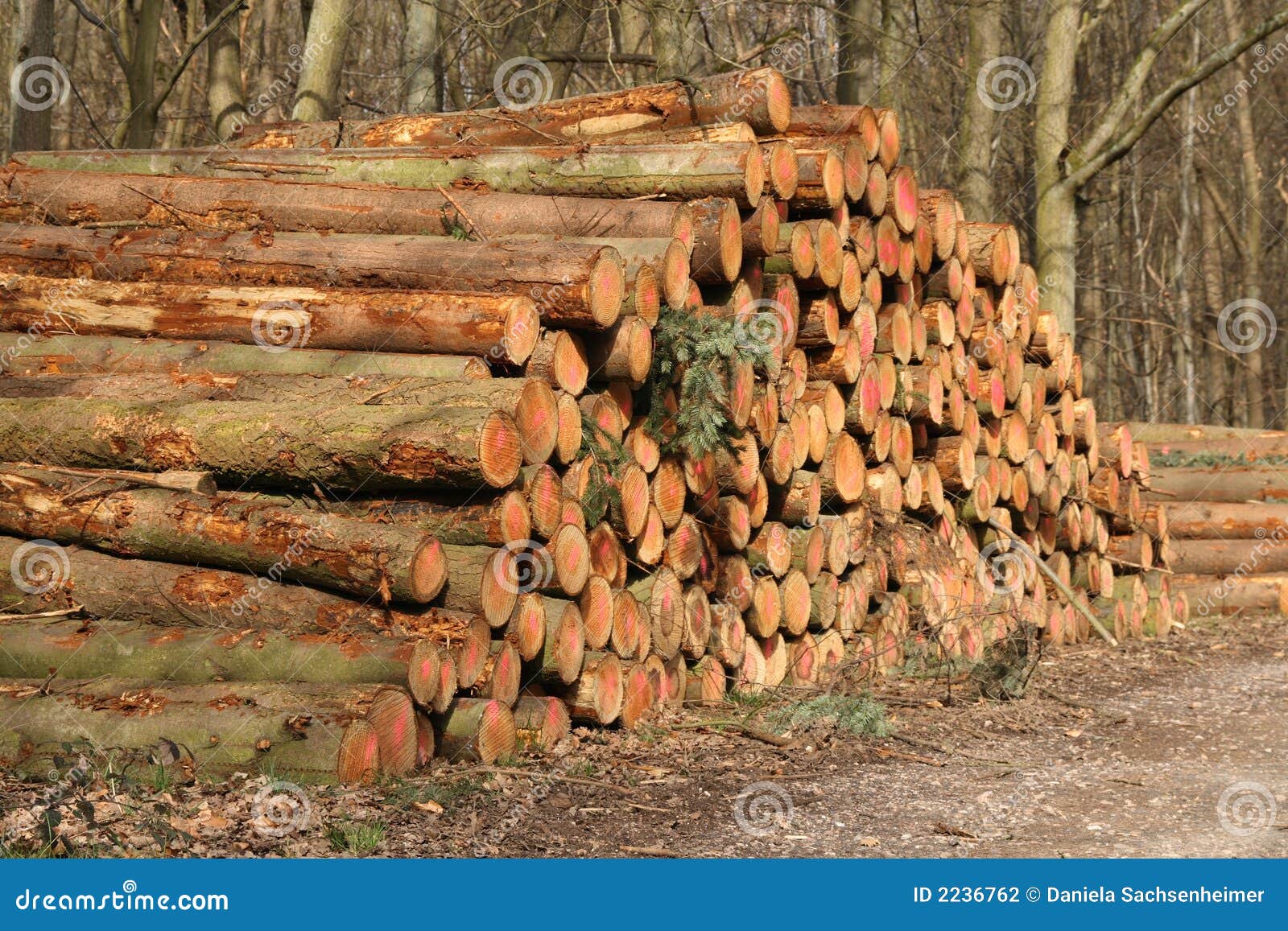 Stack Of Logs Stock Photography - Image: 2236762