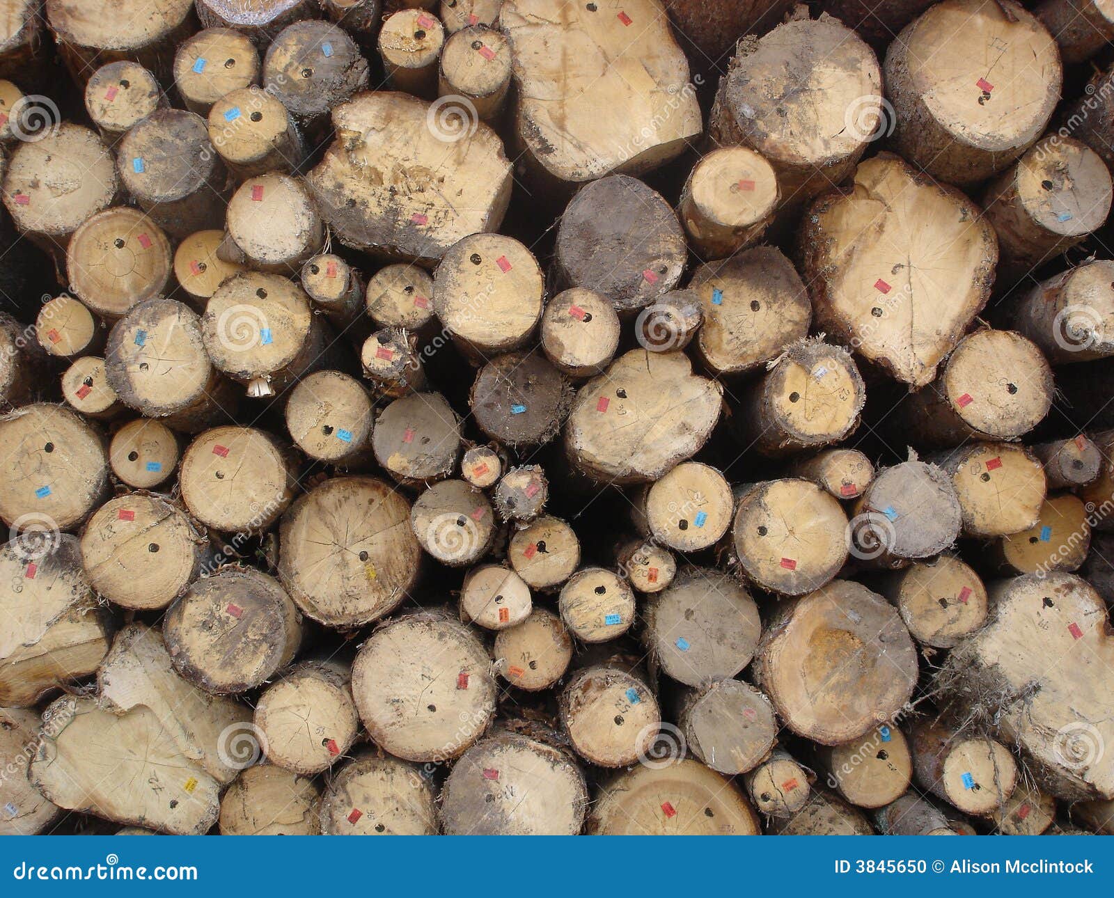 Stack of logs stock photo. Image of wood, fireplace, logging - 3845650