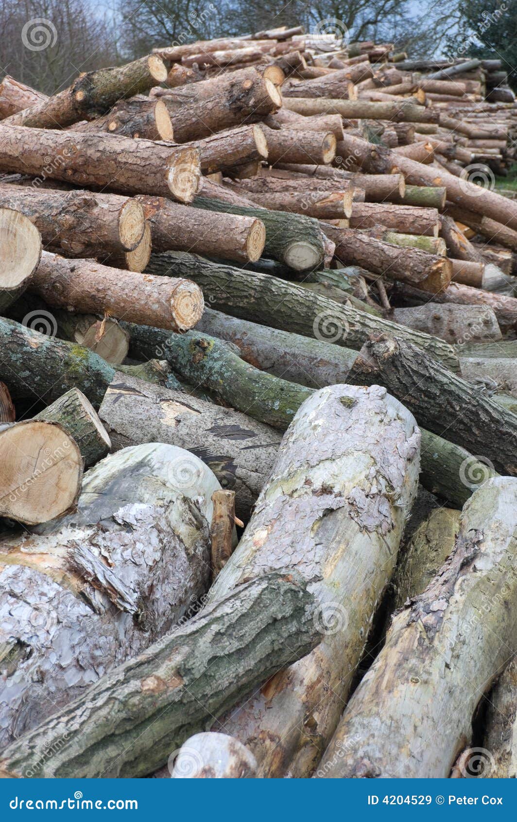 Stack of logs stock image. Image of material, textured - 4204529