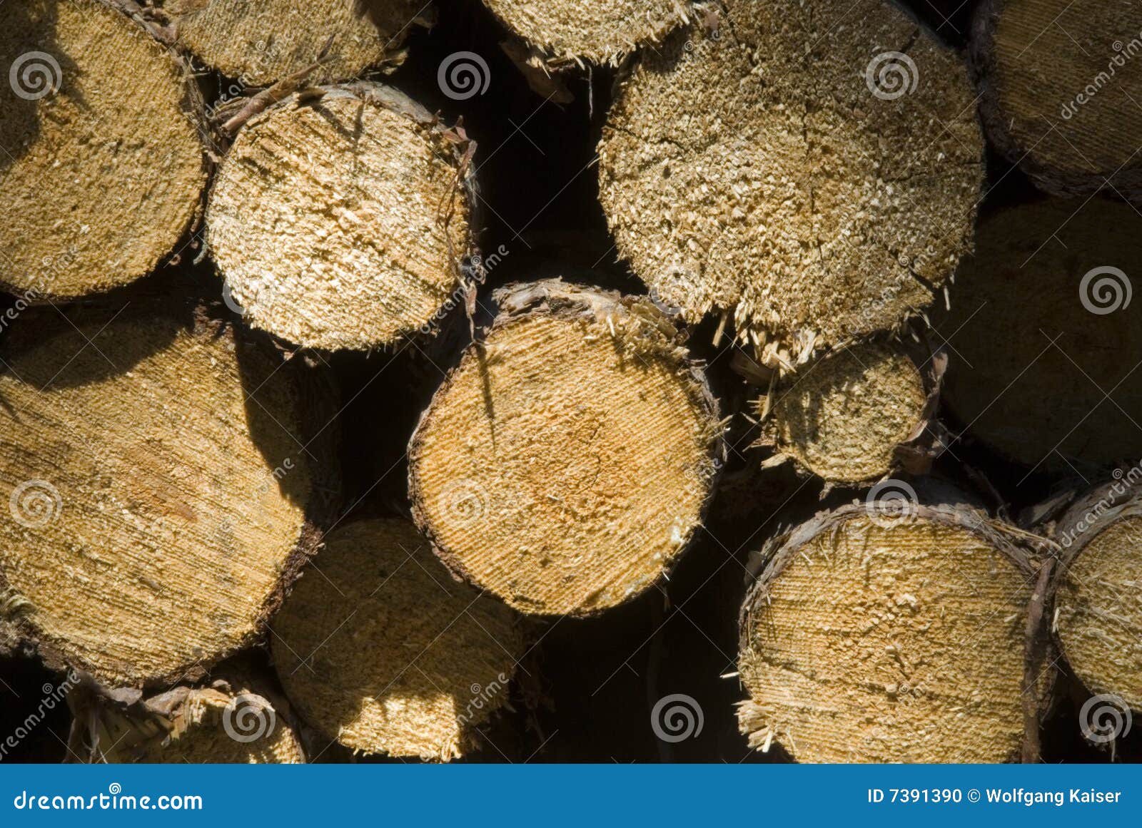 Stack of logs stock photo. Image of heap, grained, pine - 7391390