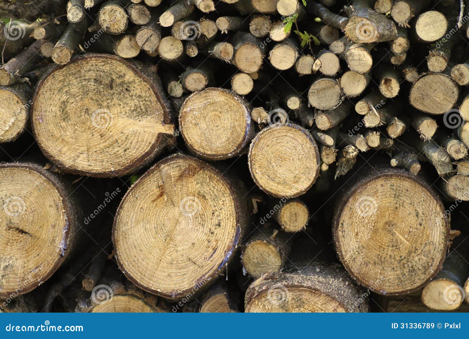 Stack of logs stock image. Image of bark, firewood, industry - 31336789