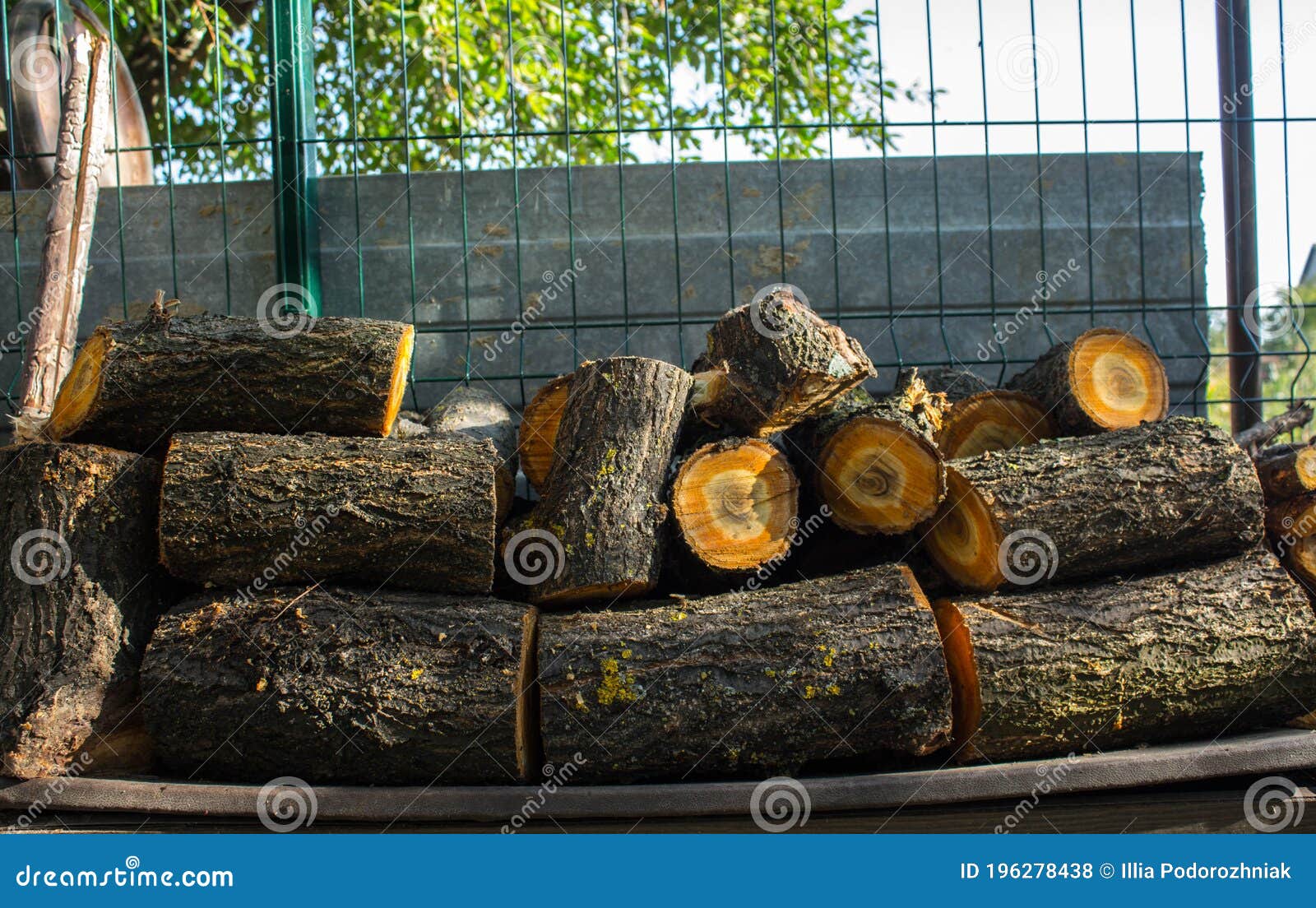 A Stack of Logs in the Backyard Stock Photo - Image of outdoor, pile ...