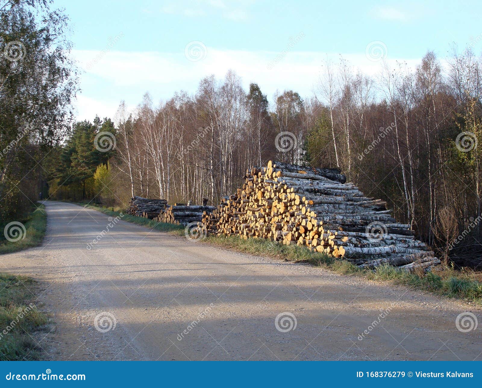 Stack of logs stock image. Image of edge, work, branches - 168376279