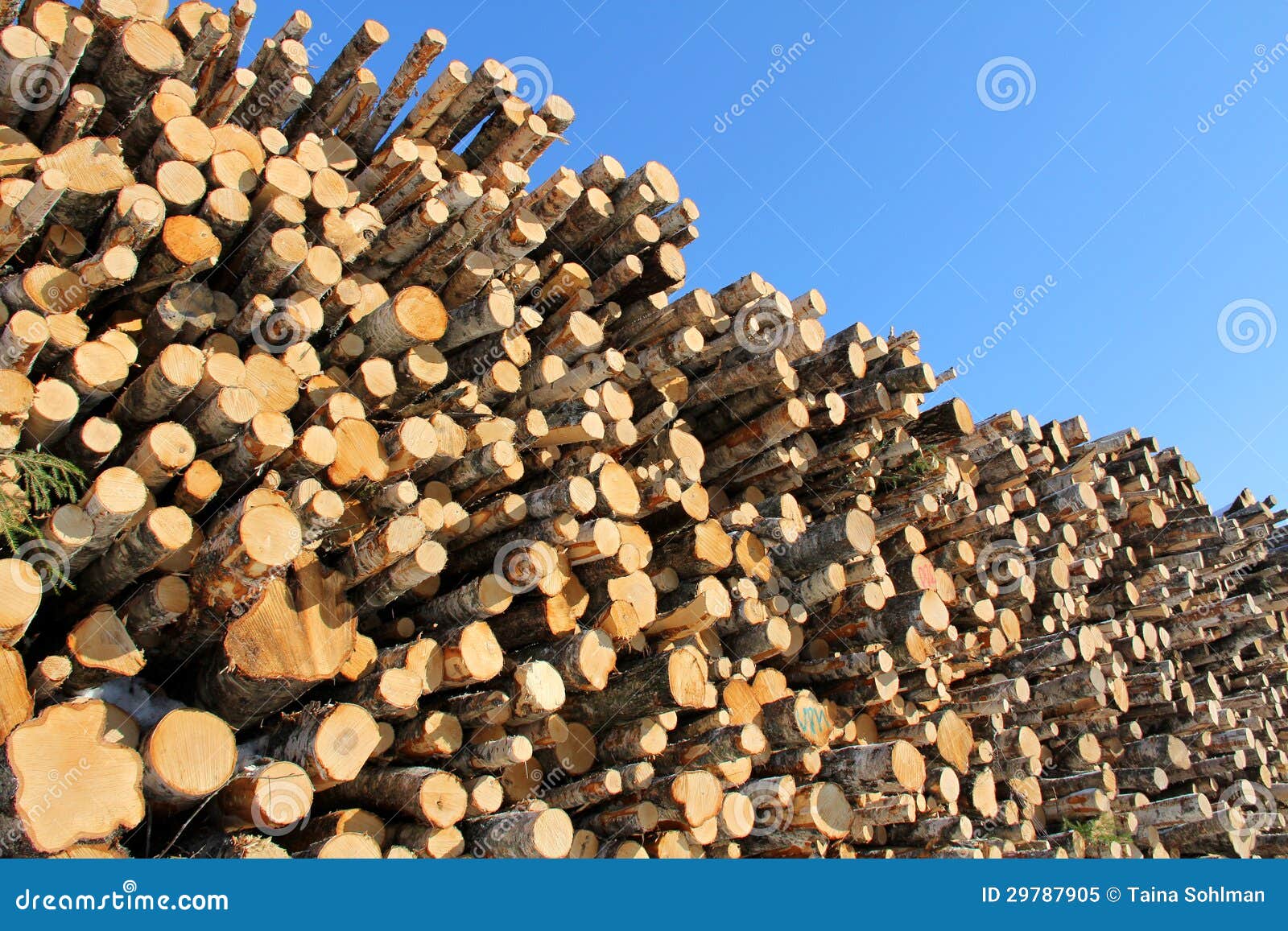 Large Stack of Logs and Blue Sky Stock Image - Image of pile ...