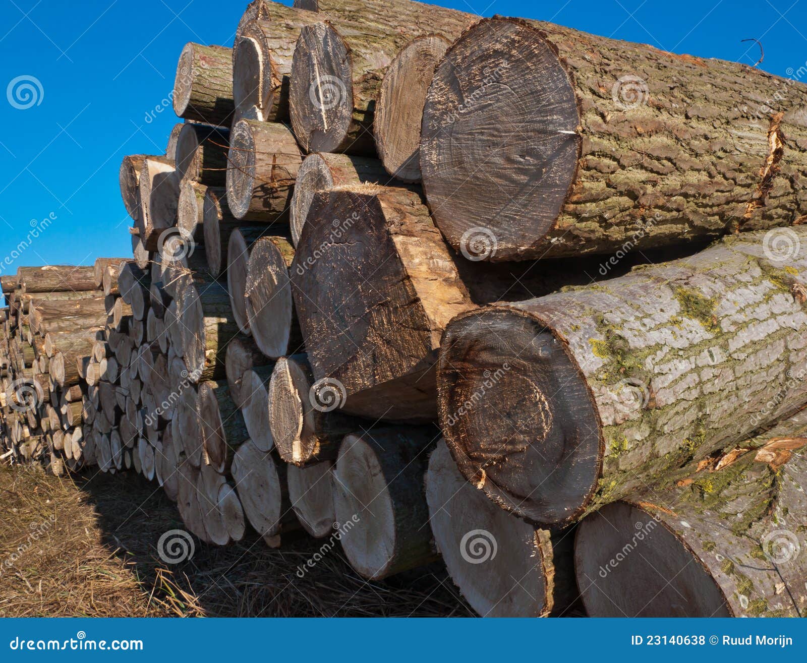 Stack of logs in the field stock photo. Image of material - 23140638