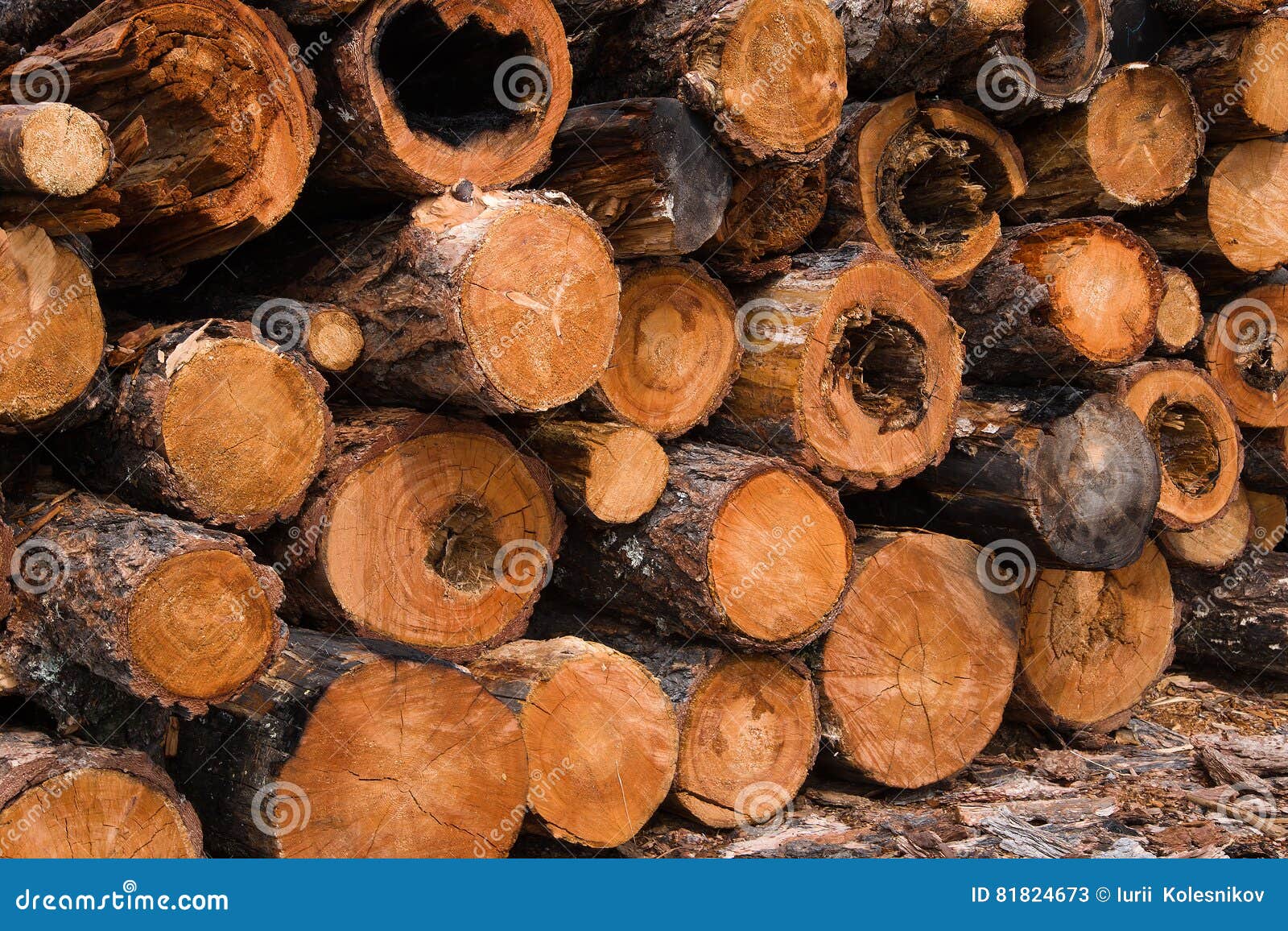 A stack of logs stock image. Image of heap, supply, timber - 81824673