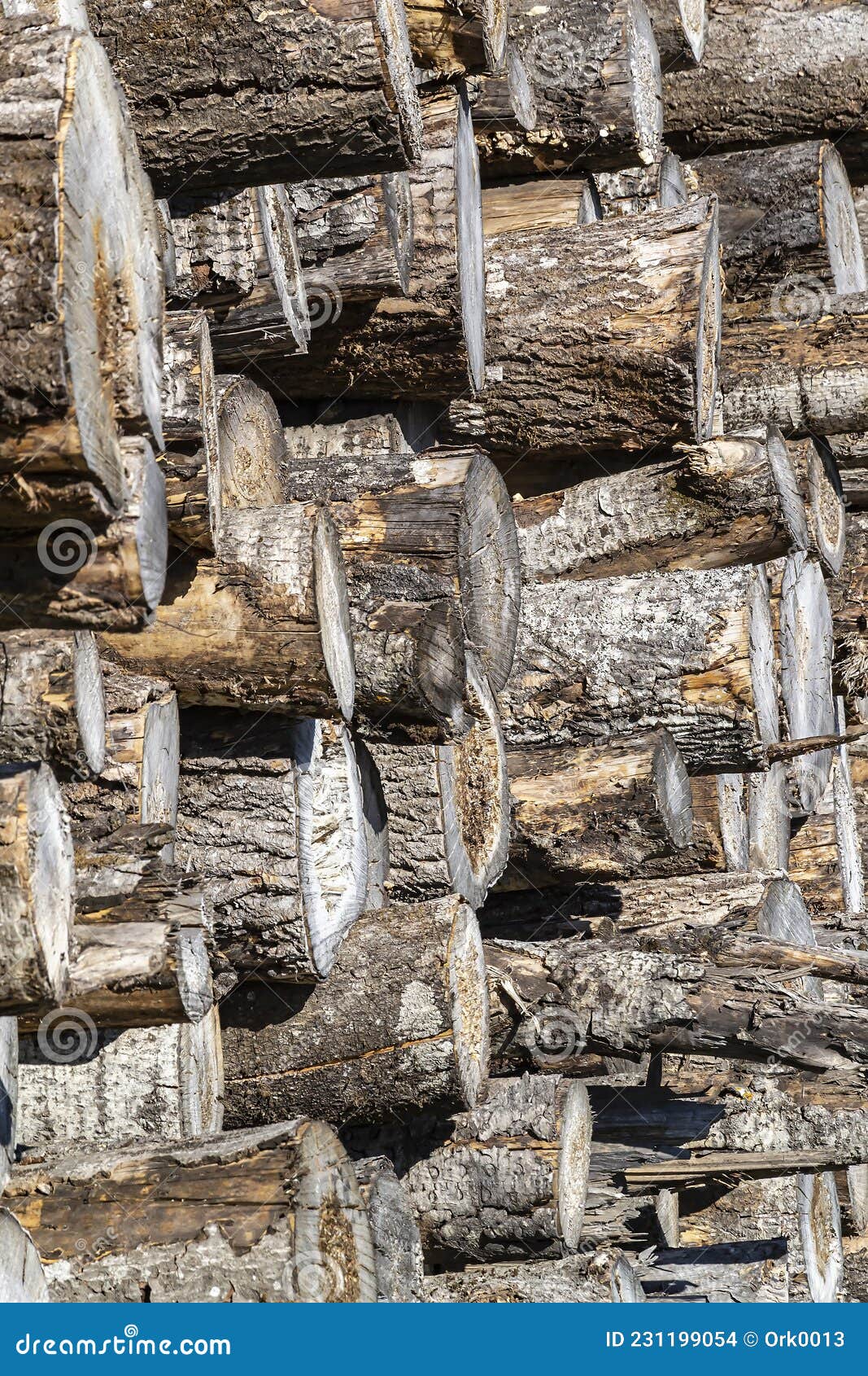 Stack of Logs during Logging Stock Photo - Image of abstract, people ...