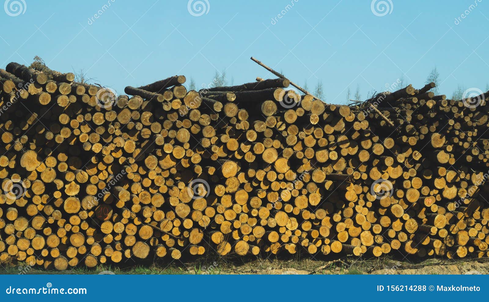 Pile Of Timber In A Snowy Sweden Royalty-Free Stock Image ...
