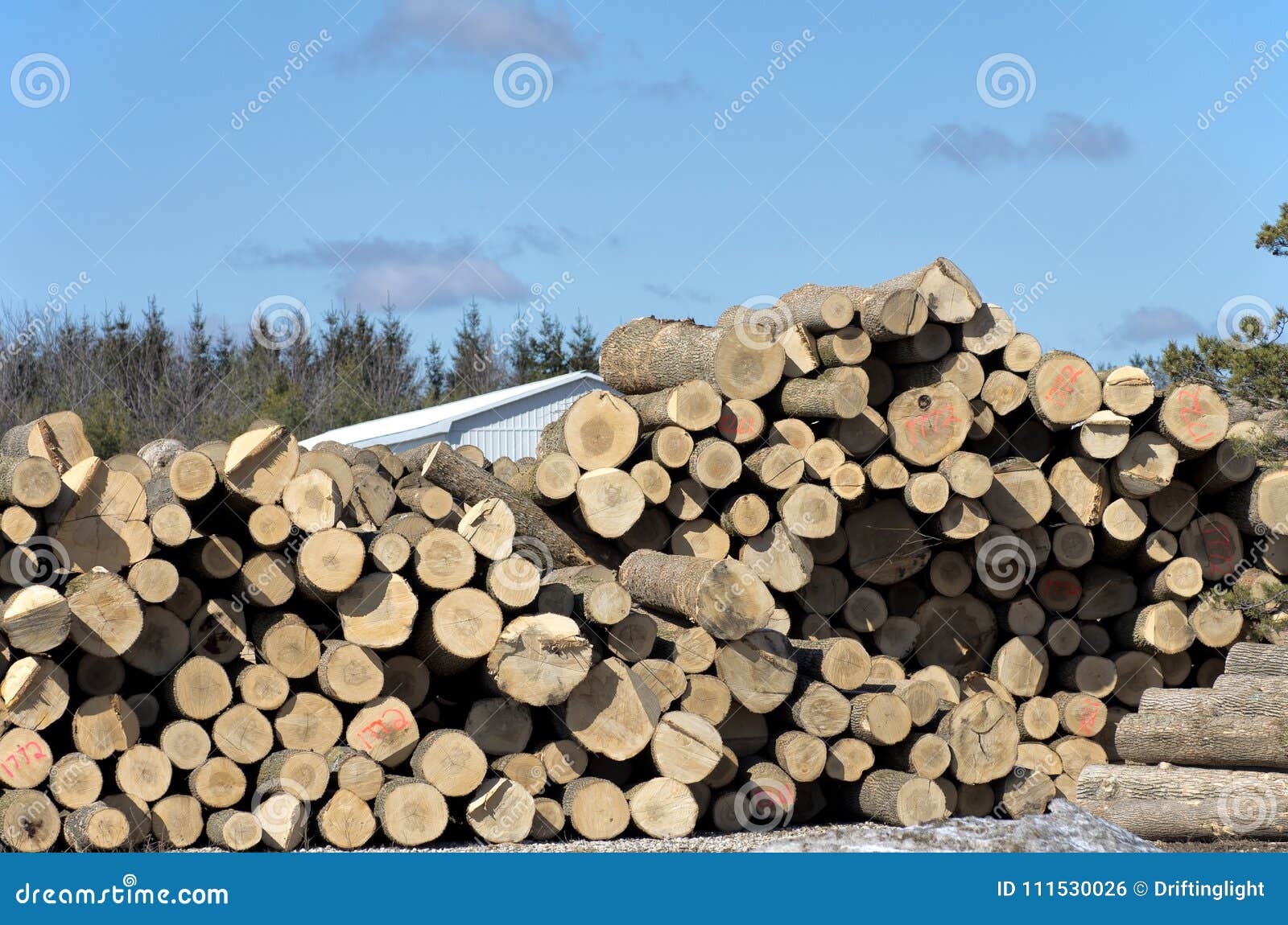 Stack of logs by sawmill stock photo. Image of load - 111530026