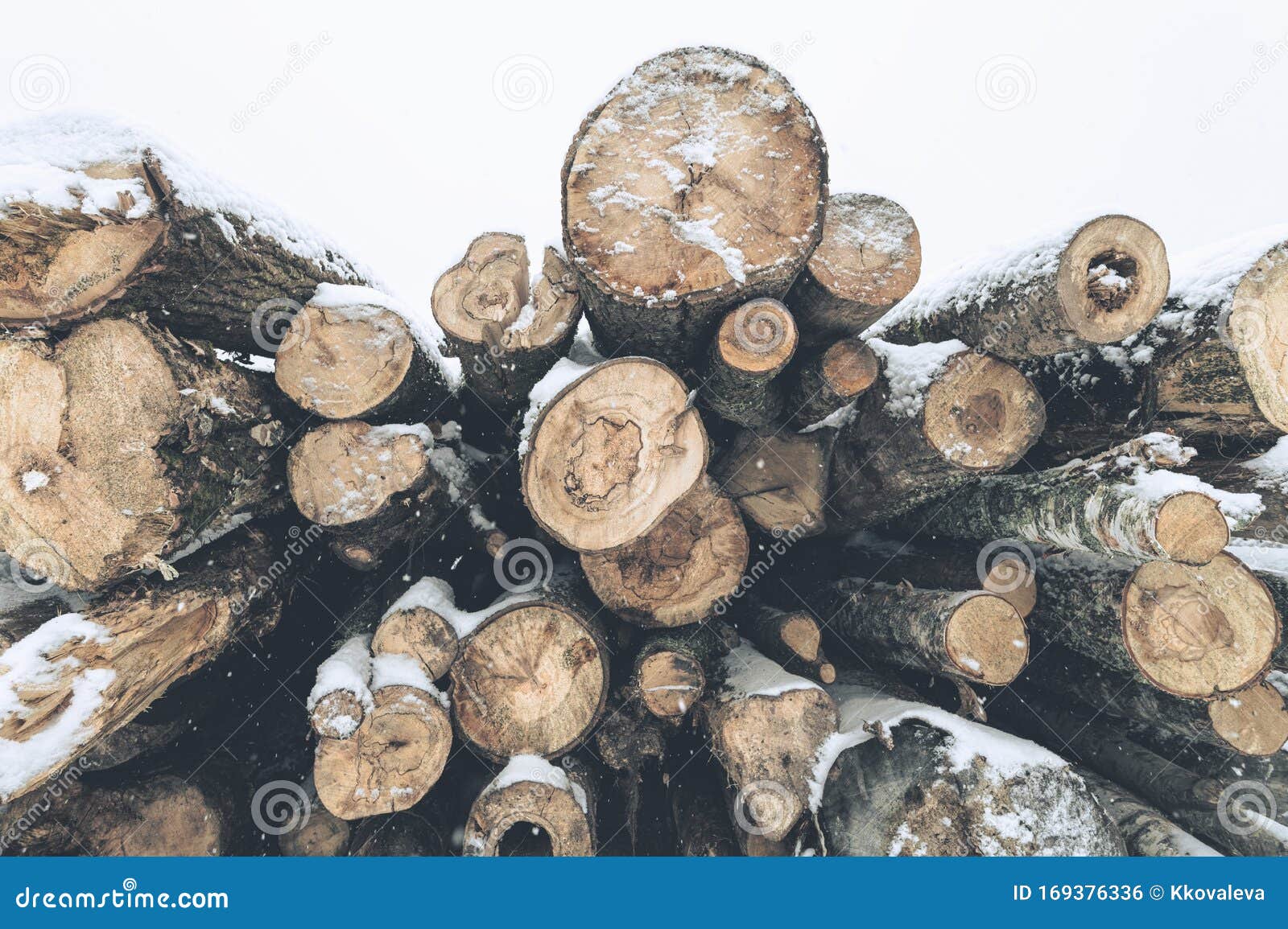 Stack of Logs in a Snow Covered Pile. Close-up Stock Photo - Image of ...