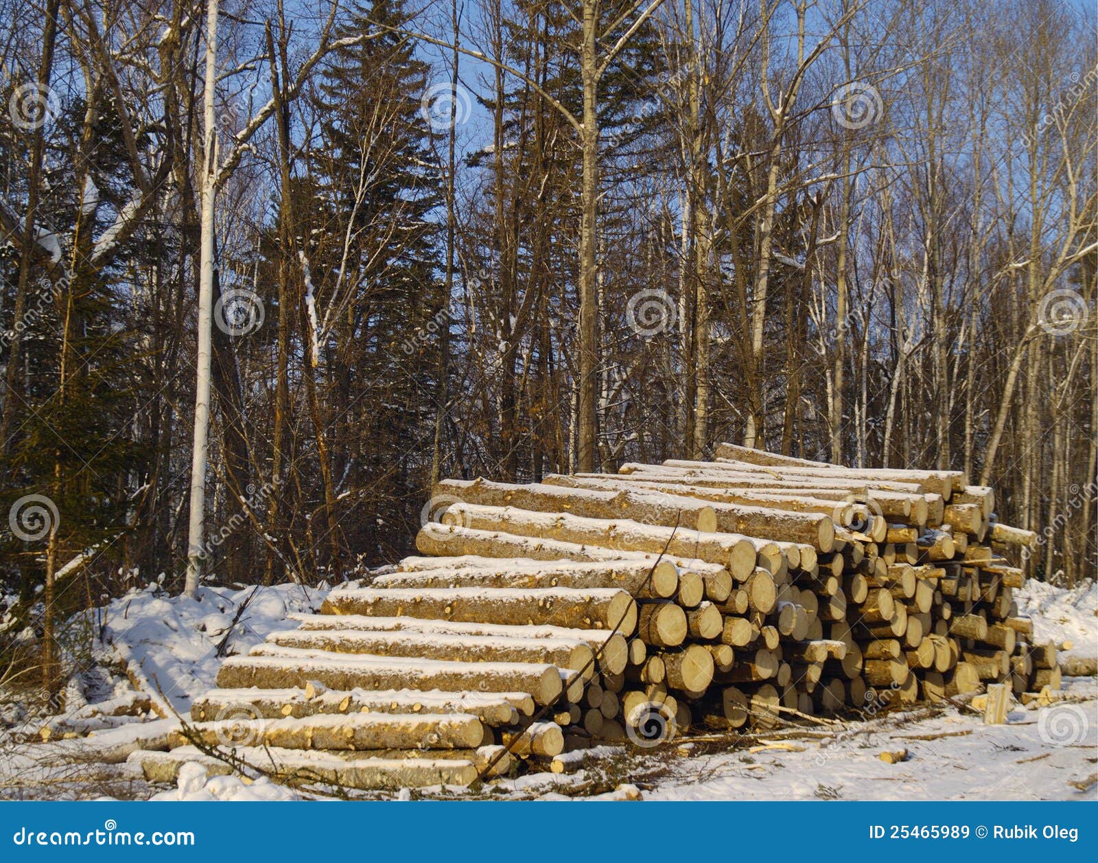 Stack of logs in a taiga stock image. Image of preparation - 25465989