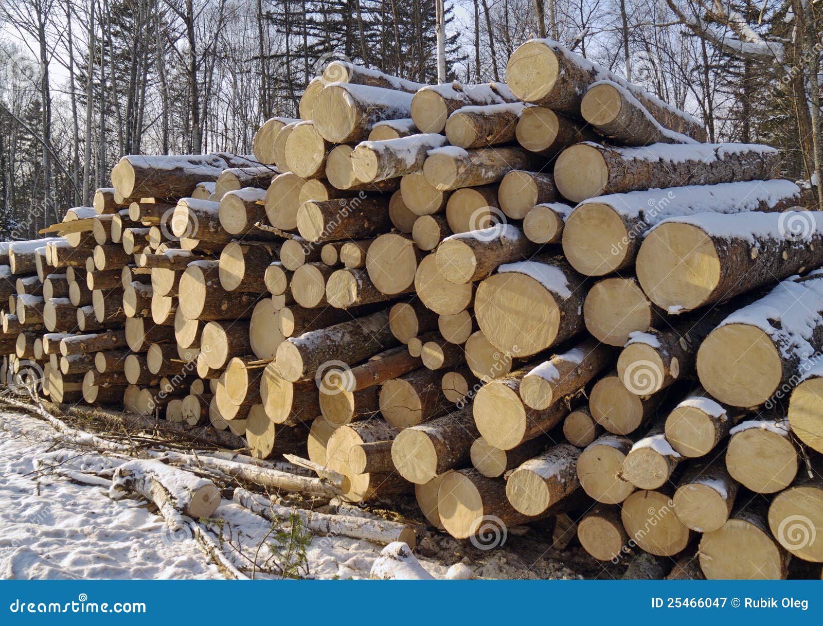 Stack of logs in a taiga stock image. Image of product - 25466047