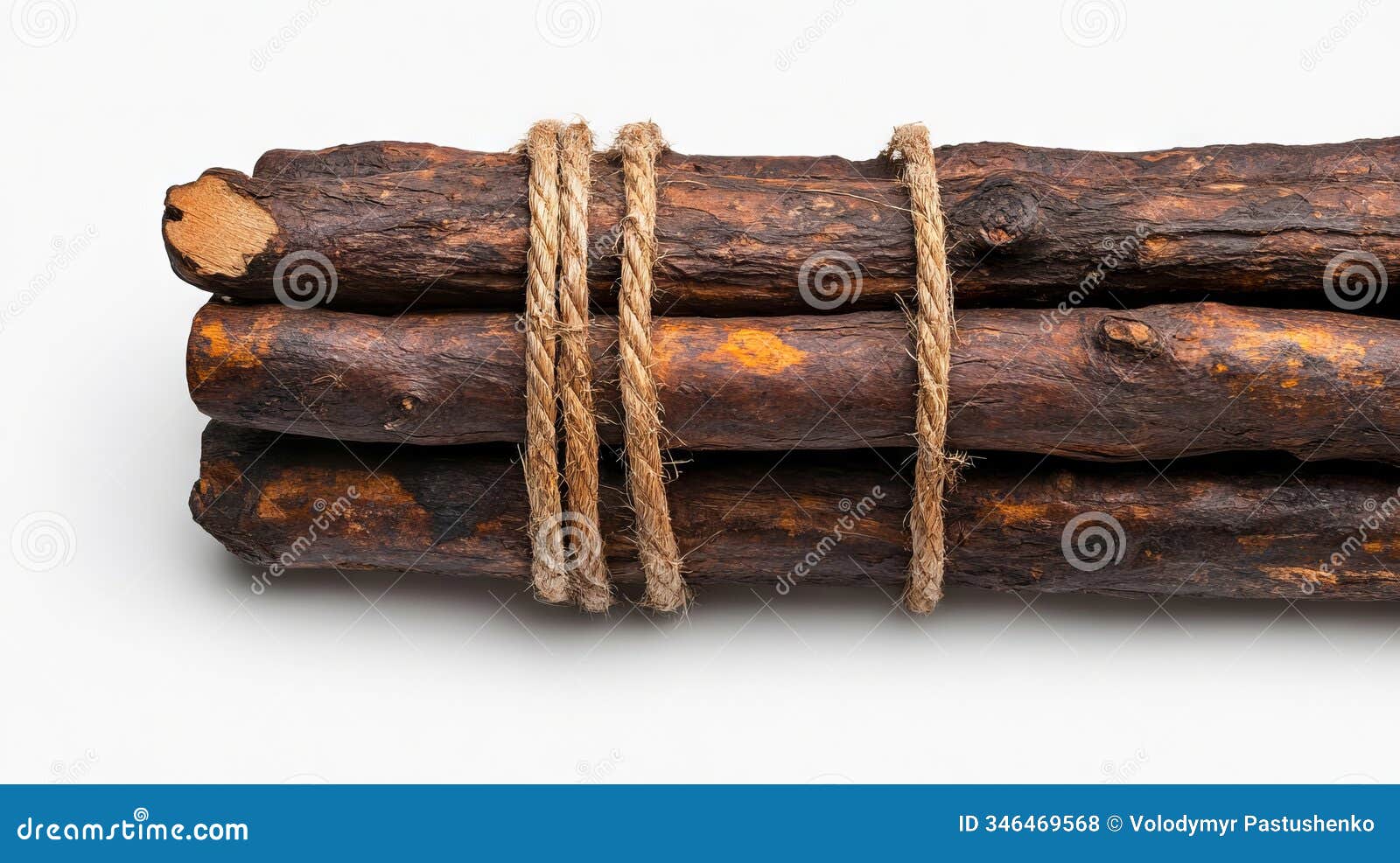 A Stack of Logs Tied Up with a Rope Stock Photo - Image of white, tied ...