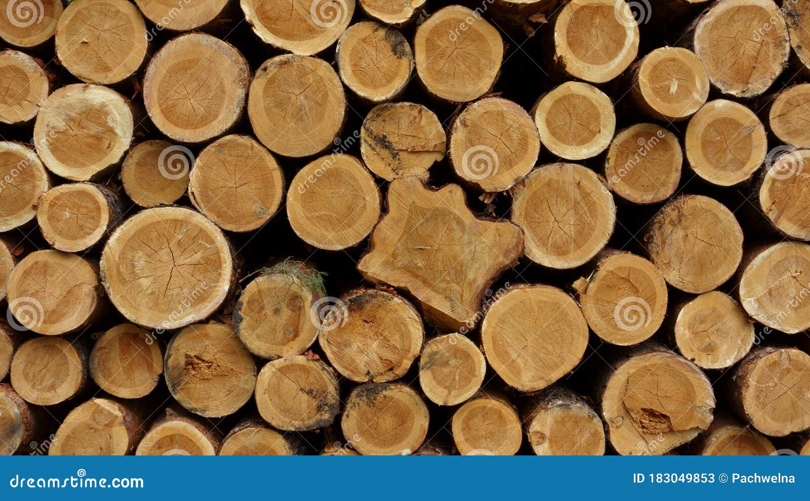 Stack of Logs, Raw Wood Texture and Colour Stock Image - Image of ...