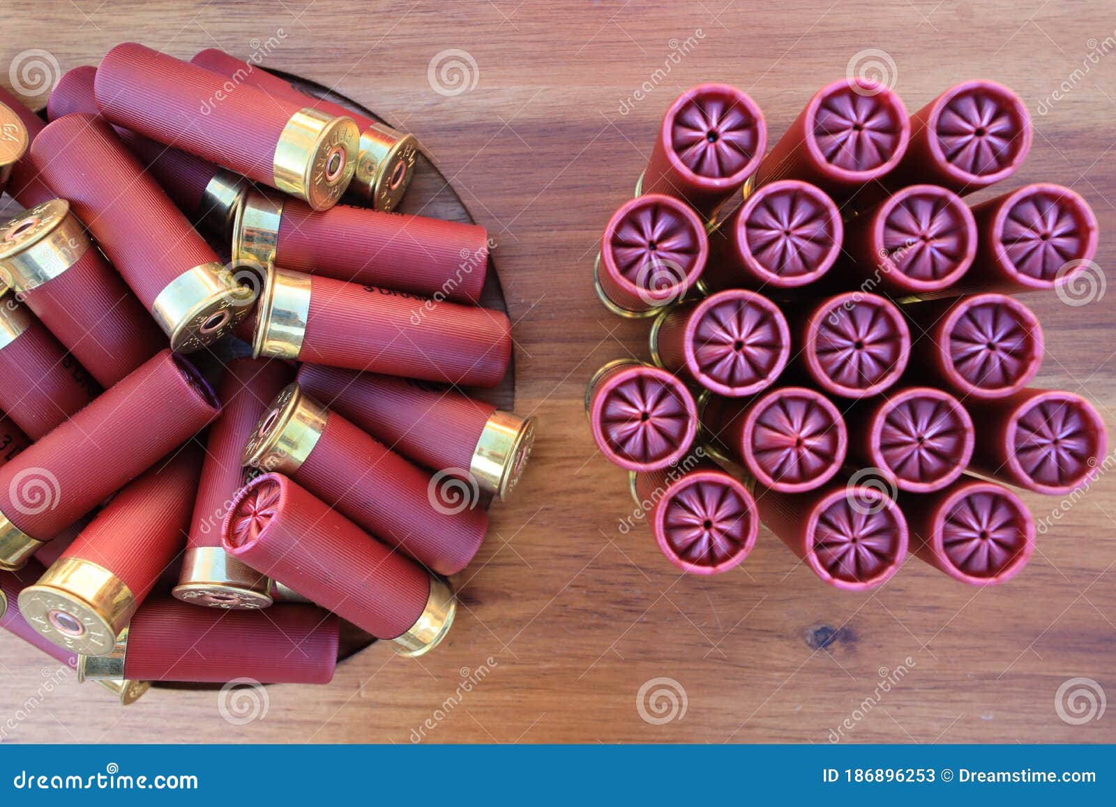 238 Loose Shells Stock Photos - Free & Royalty-Free Stock Photos from ...