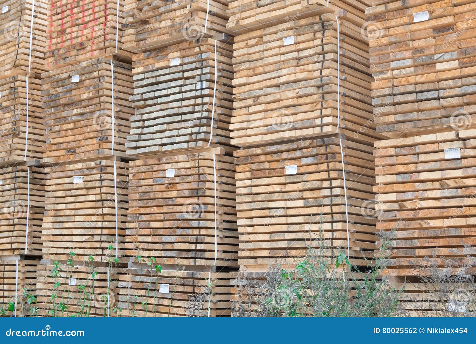 Stack of Lumber Wood in Timber Logs Storage Stock Photo - Image of ...