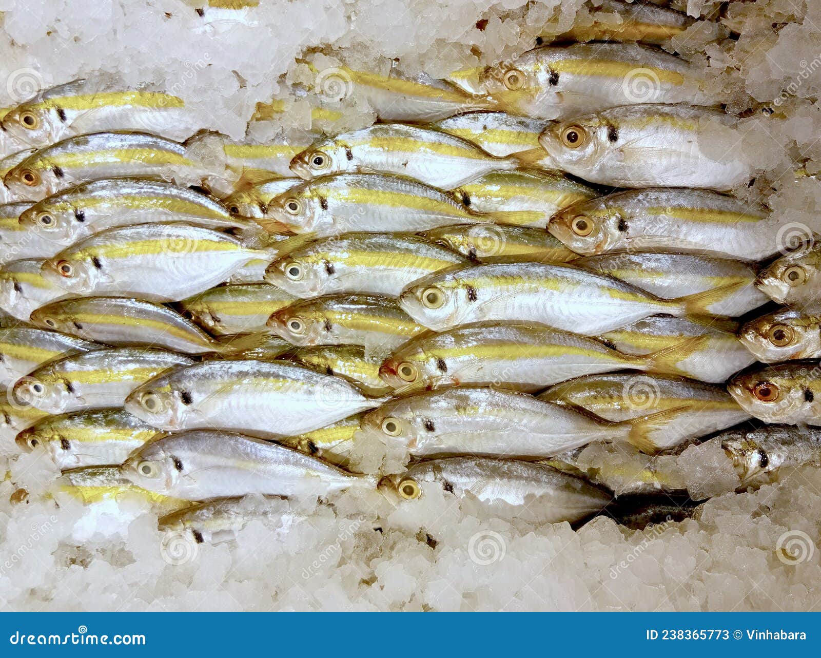 Stack of Mackarel Fish on the Ice in the Fresh Food Market Stock Image ...