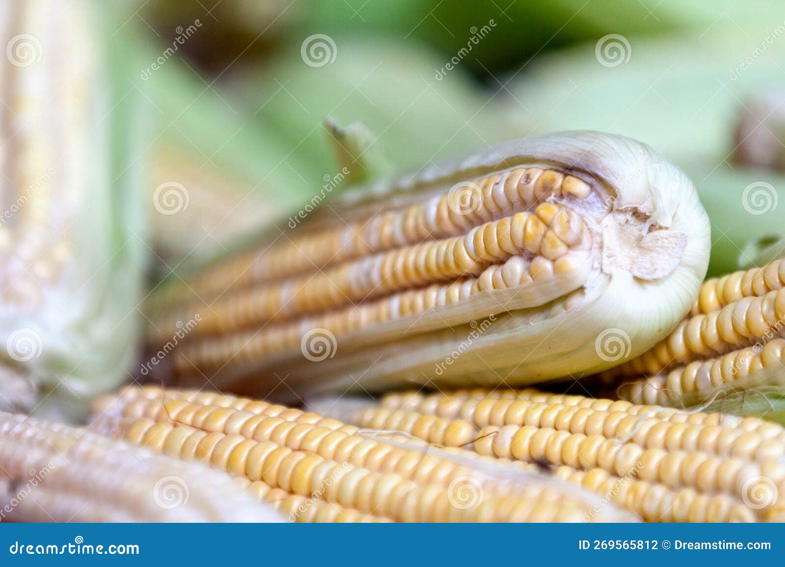 Stack of Maize Ears on a Market Stall Stock Photo - Image of maize ...
