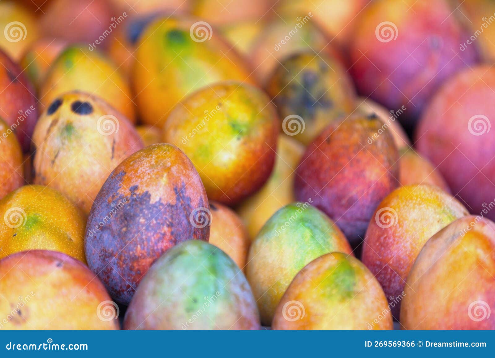 Stack of Mangoes for Sale on a Market Stall Stock Photo - Image of ...