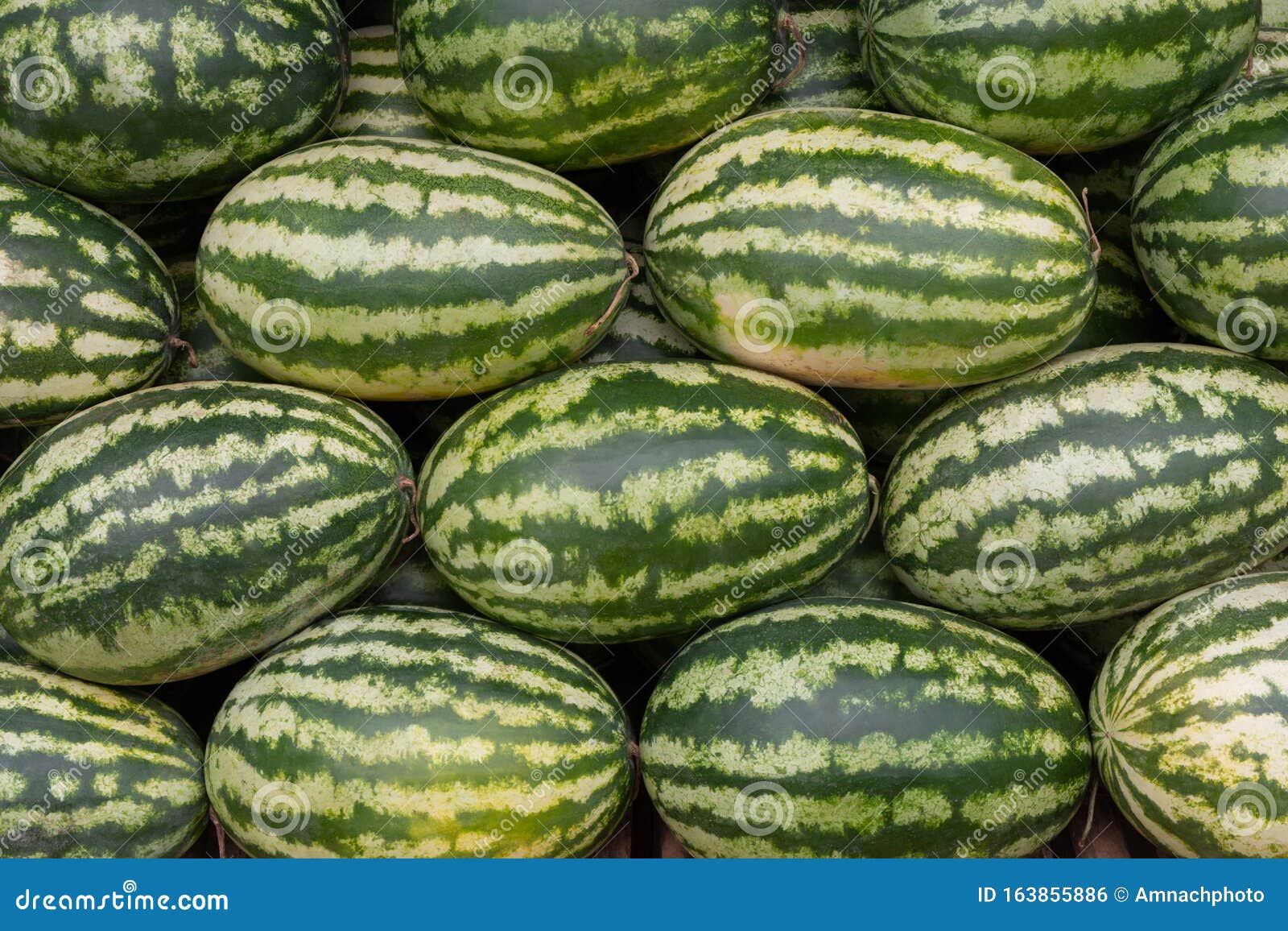 Stack of Many Big Sweet Green Watermelons Stock Photo - Image of ...