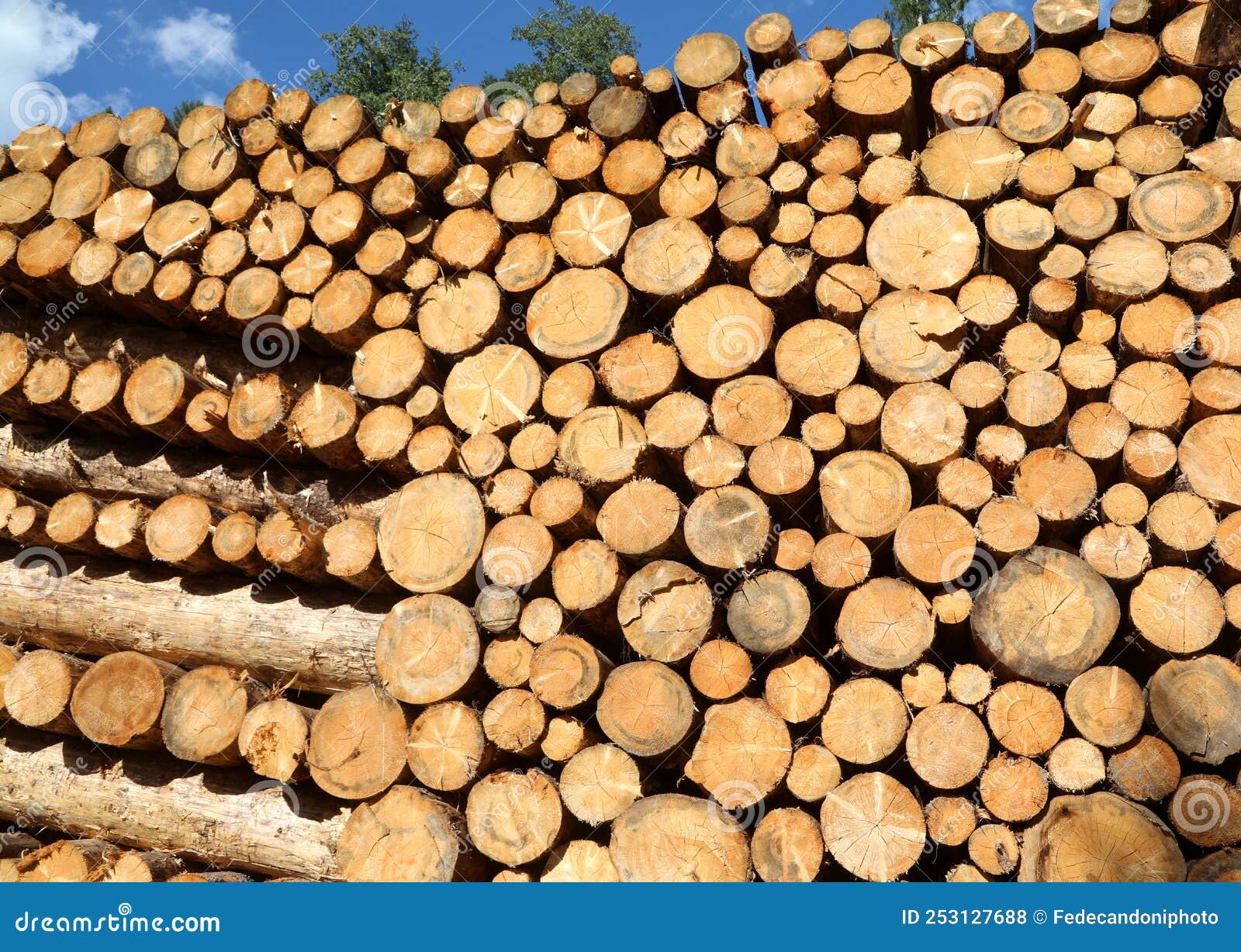 Stack of Many Cut Logs in an Outdoor Sawmill Stock Photo - Image of ...