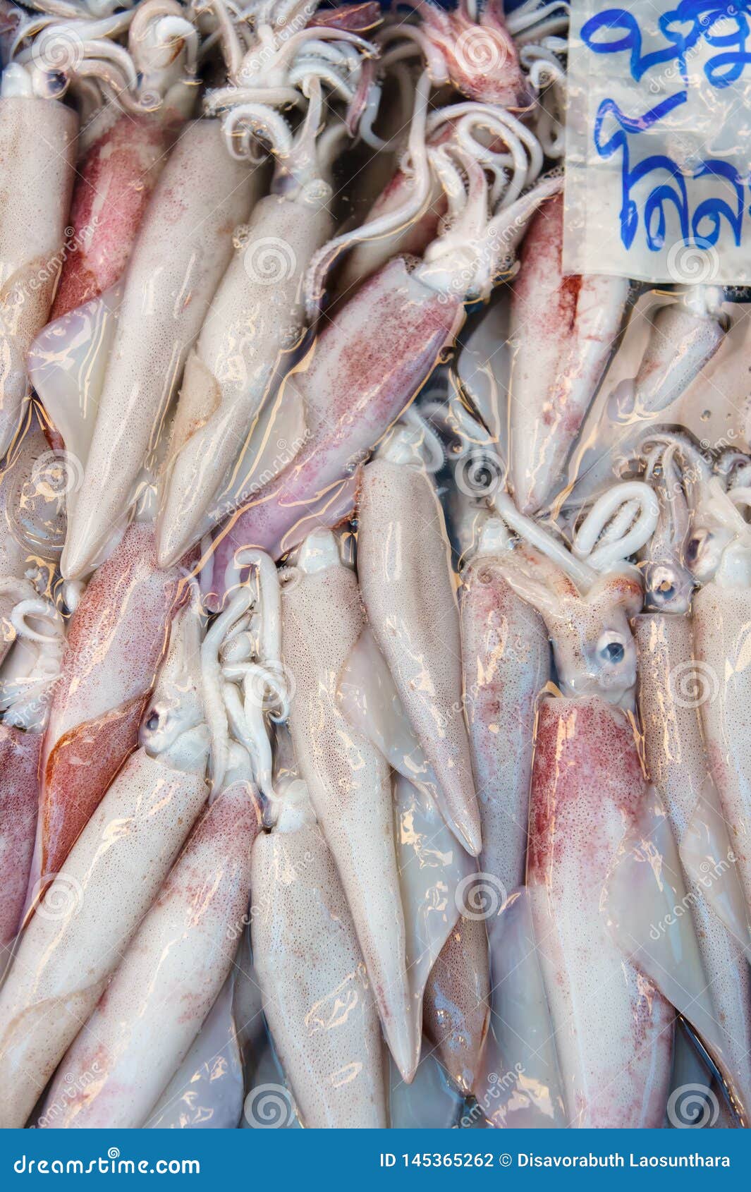 Stack of Many Fresh Squid on Fish Market Jetty. for Seafood, Food ...