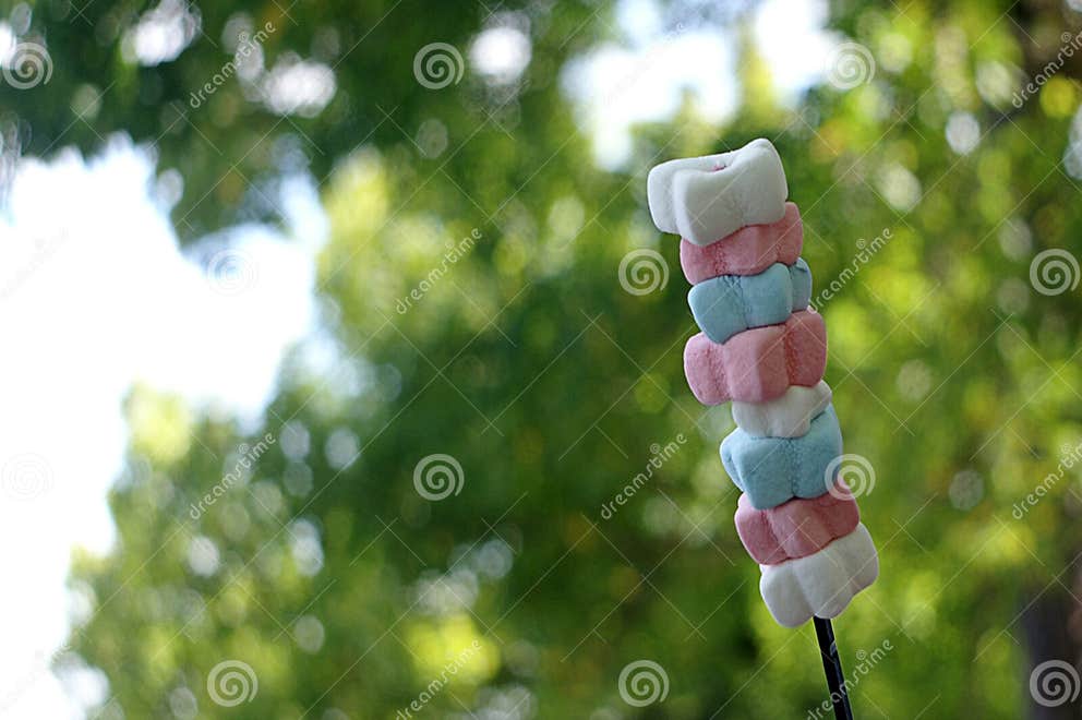 Stack of Marshmallows on Stick Stock Photo - Image of colorful ...