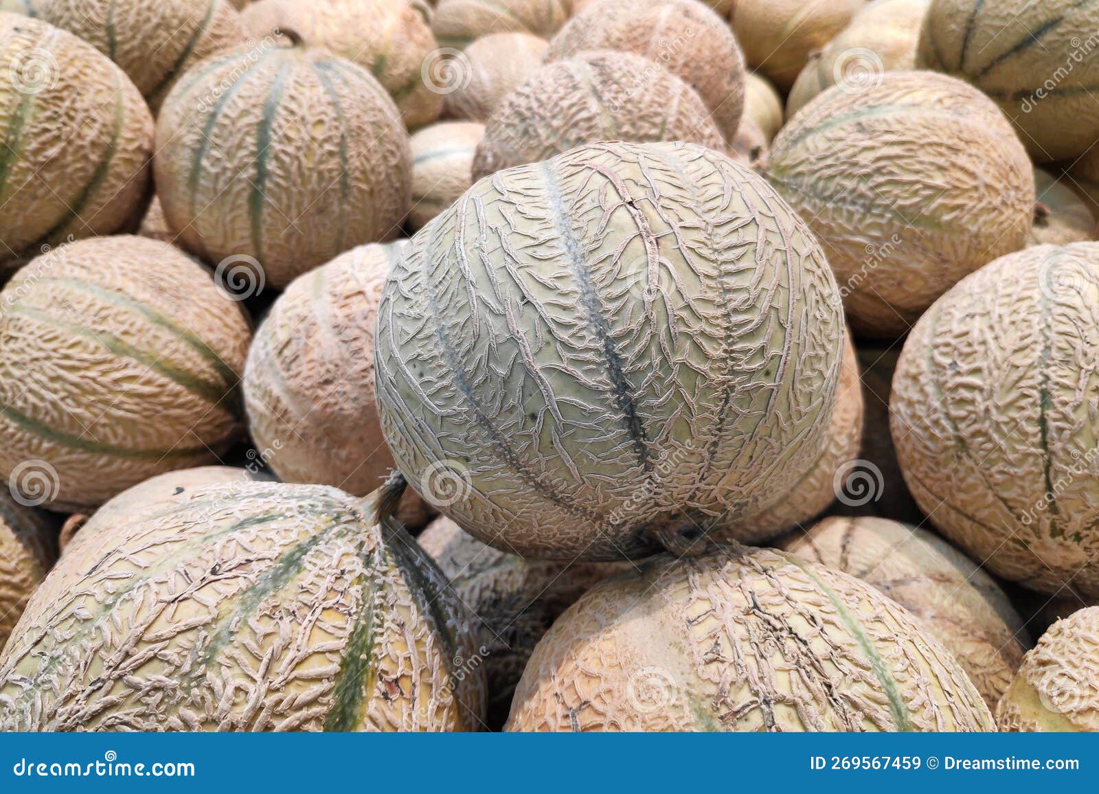 Stack of Melons on a Market Stall Stock Image - Image of vegetarian ...