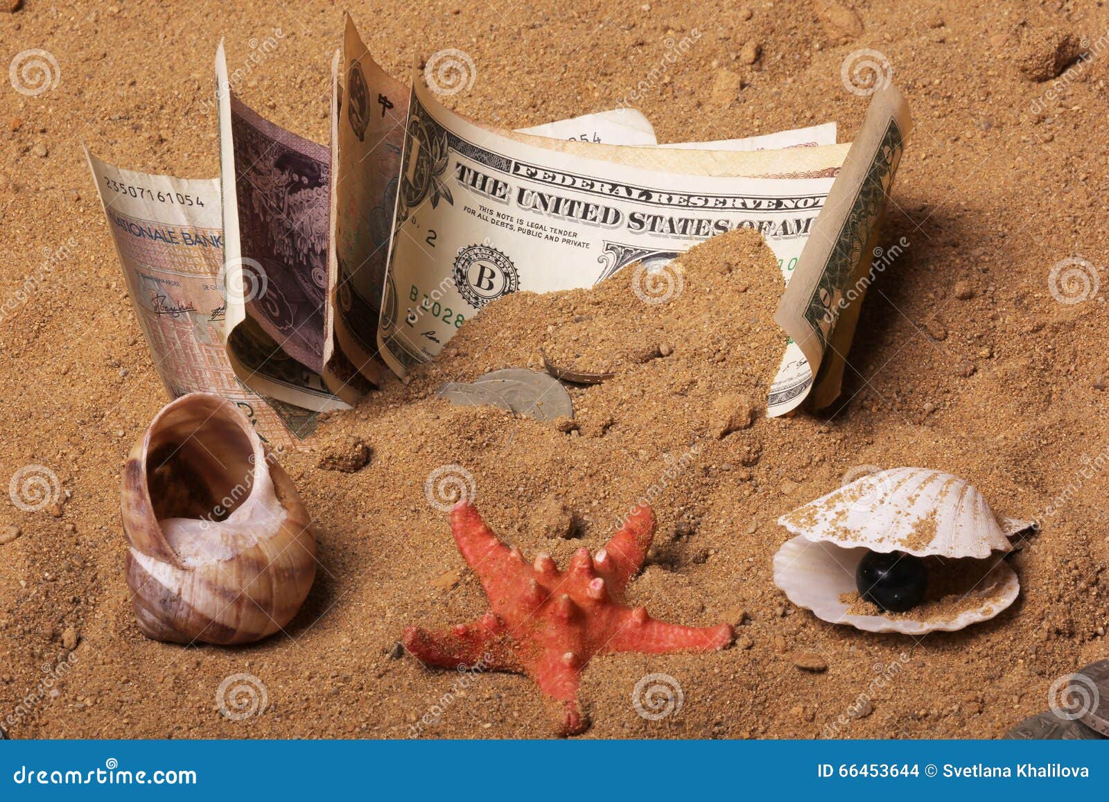 A Stack of Money Lying on the Sand with Shells Stock Photo - Image of ...