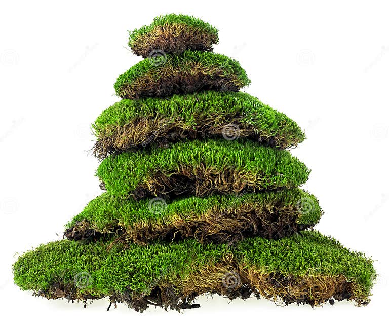 Stack of Moss Clumps Isolated on White Background. Green Mossy Hill ...