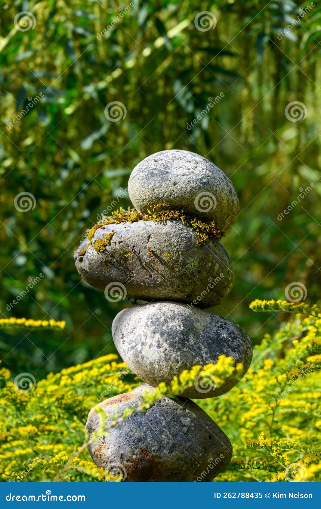 Stack of Moss and Lichen Covered River Rocks in a Summer Garden, As a ...